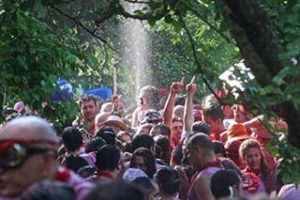 How to get to the La Batalla del Vino | Wine Fight Haro, Spain